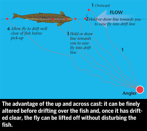 Mastering the Midge, I - Fly Fishing and Fly Tying Magazine