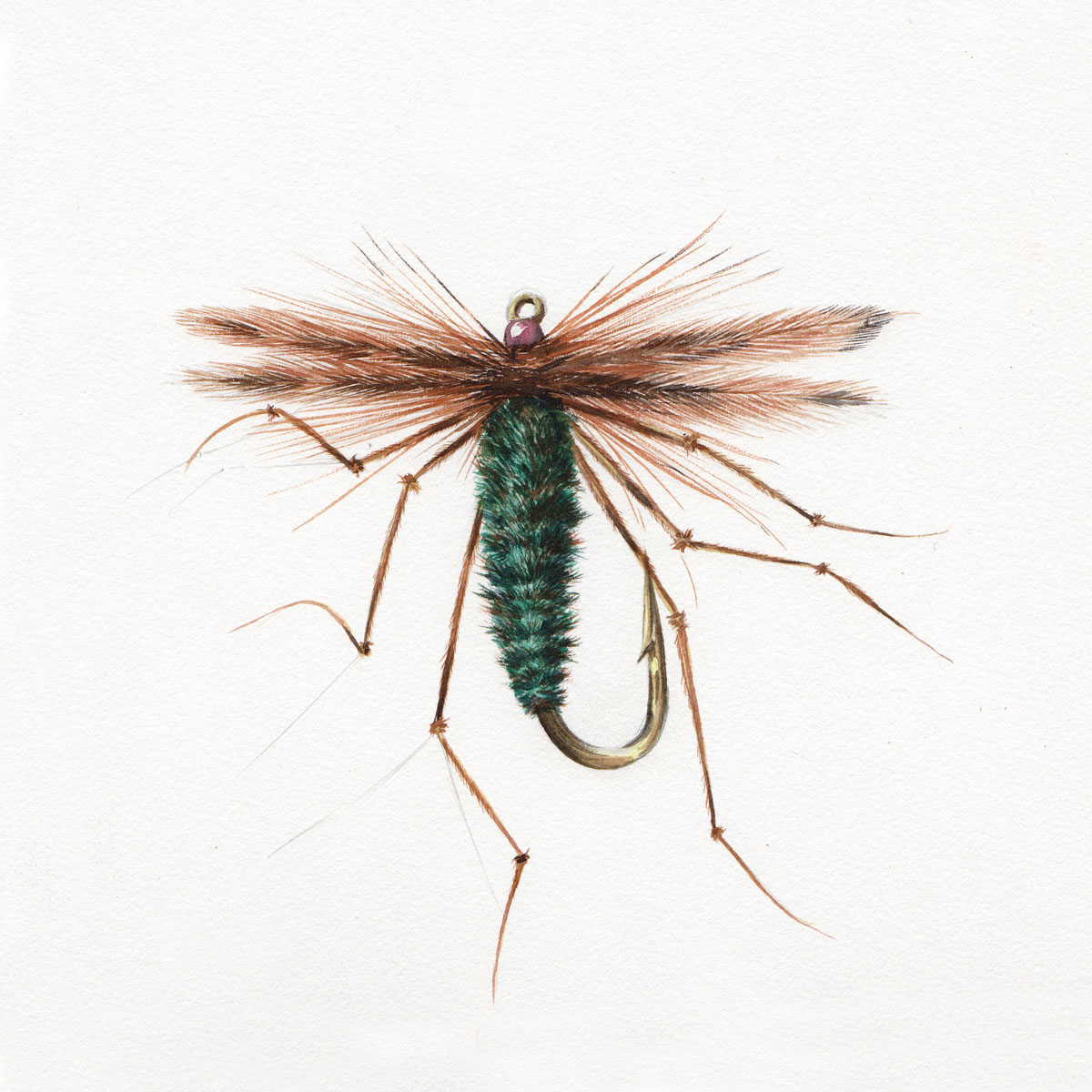Robjent’s Daddy - Fly Fishing and Fly Tying Magazine