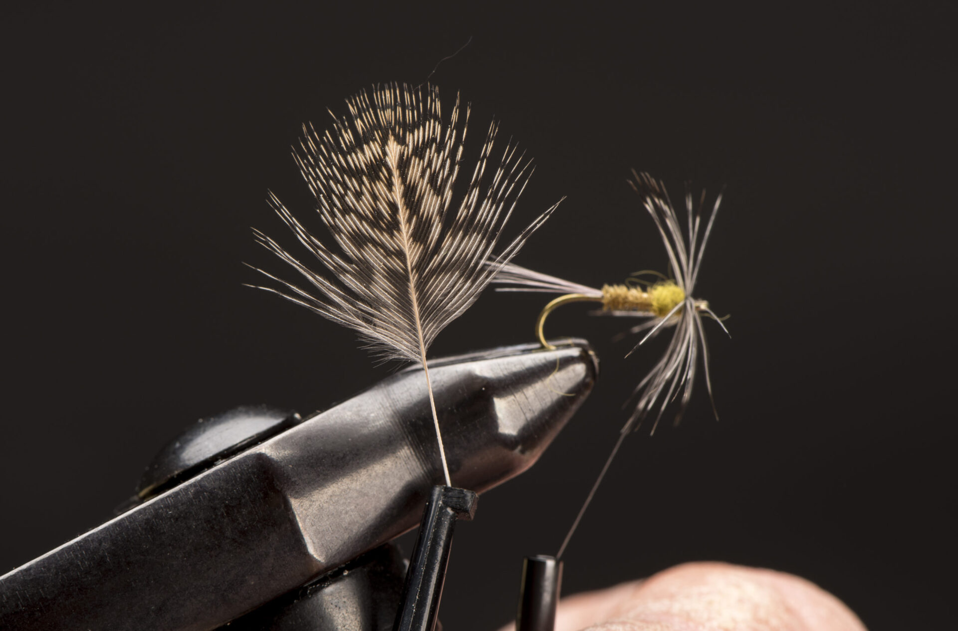 When wet becomes dry - Fly Fishing and Fly Tying Magazine