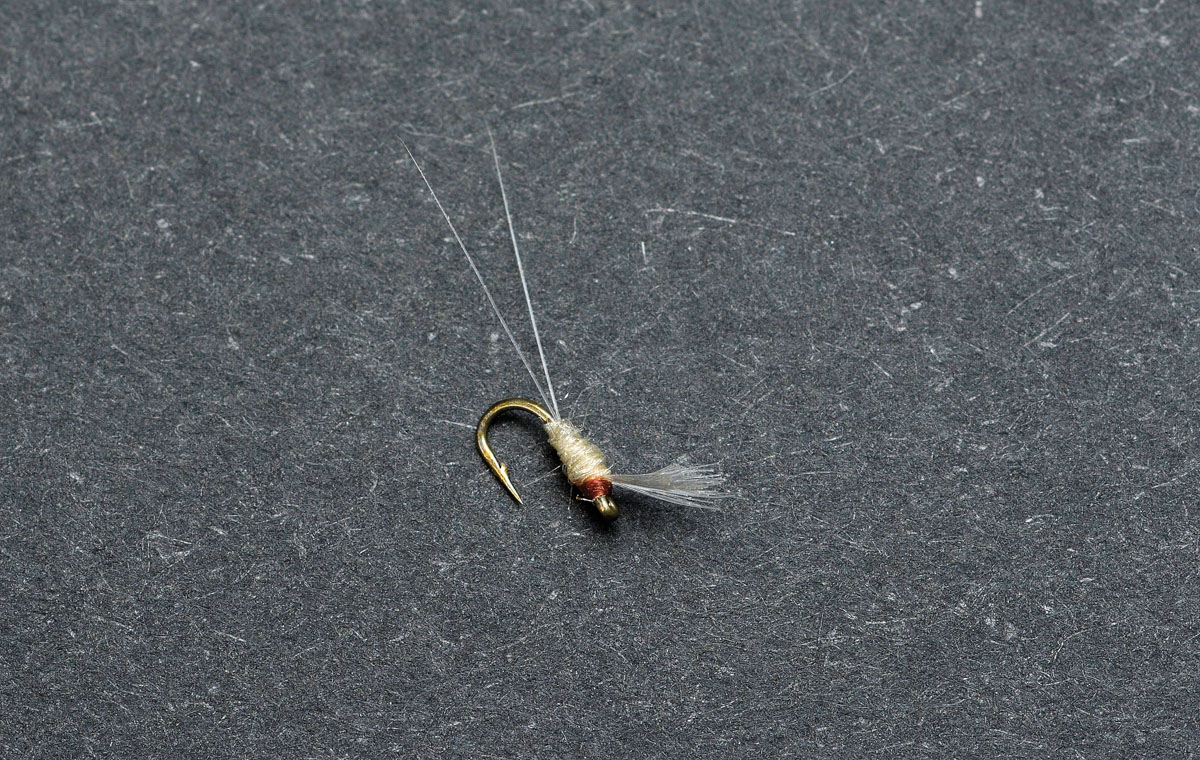 Secret Weapon (Ed Engle) - Fly Fishing and Fly Tying Magazine