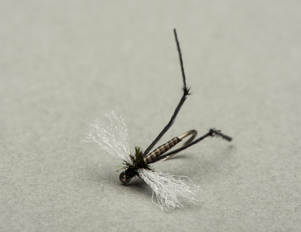 Spent Hawthorn Fly - Fly Fishing and Fly Tying Magazine