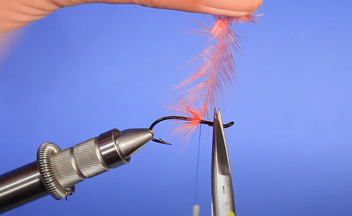 Doubling a hackle - Fly Fishing and Fly Tying Magazine