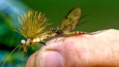 Home - Fly Fishing and Fly Tying Magazine